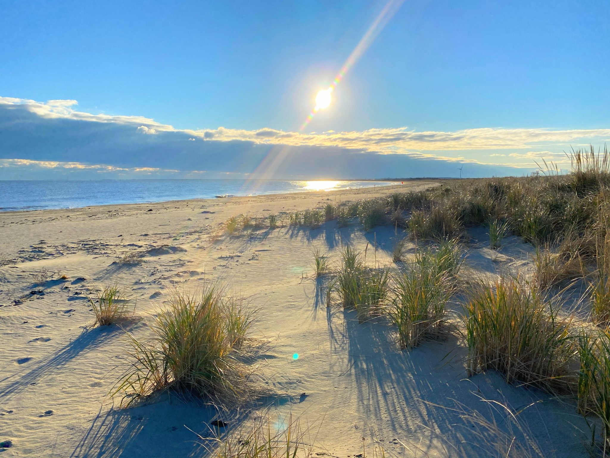 Moving to Sussex County Delaware Beaches : The Ultimate Guide - Sussex ...