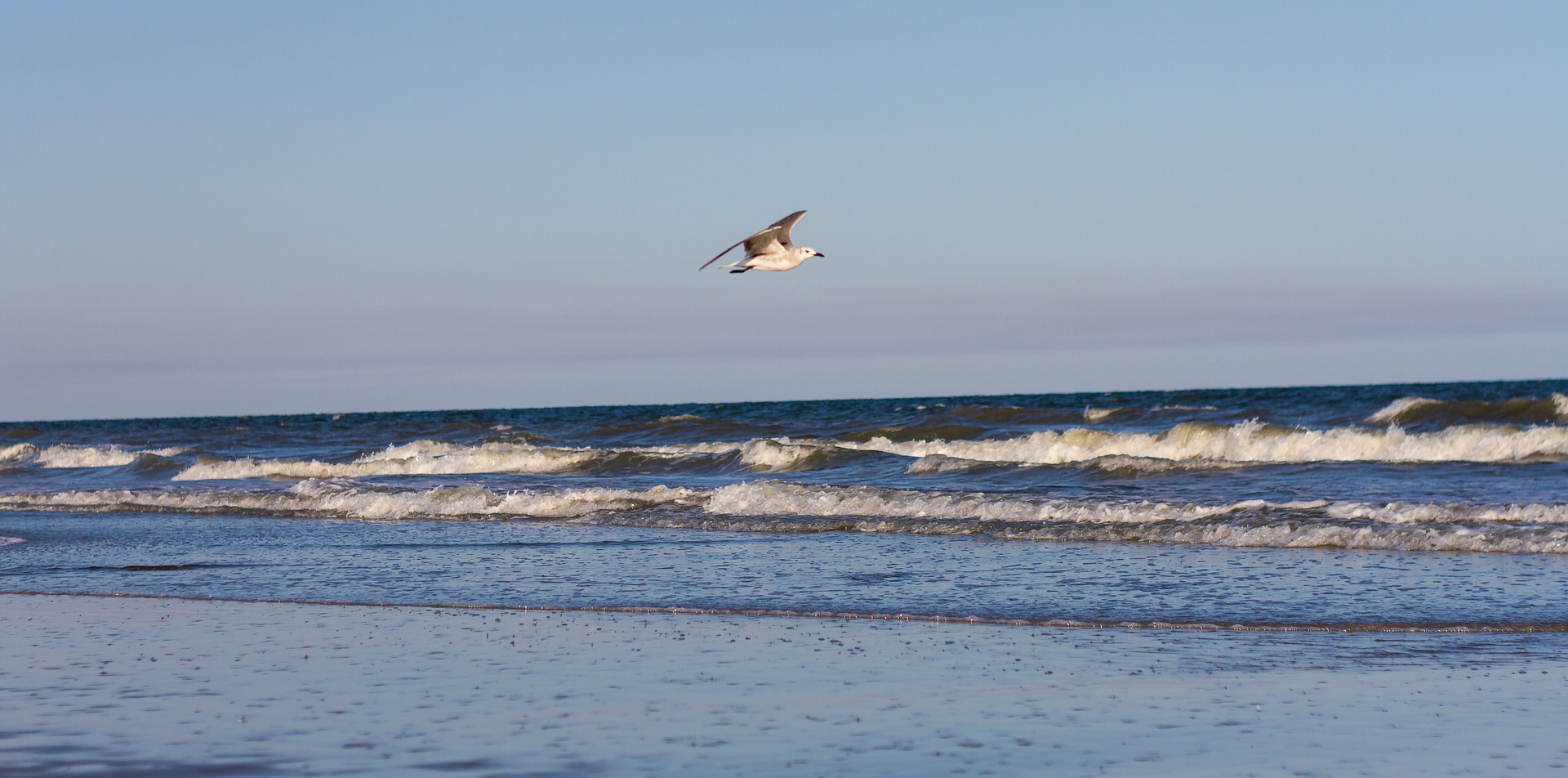 Moving to Sussex County Delaware Beaches : The Ultimate Guide - Sussex ...