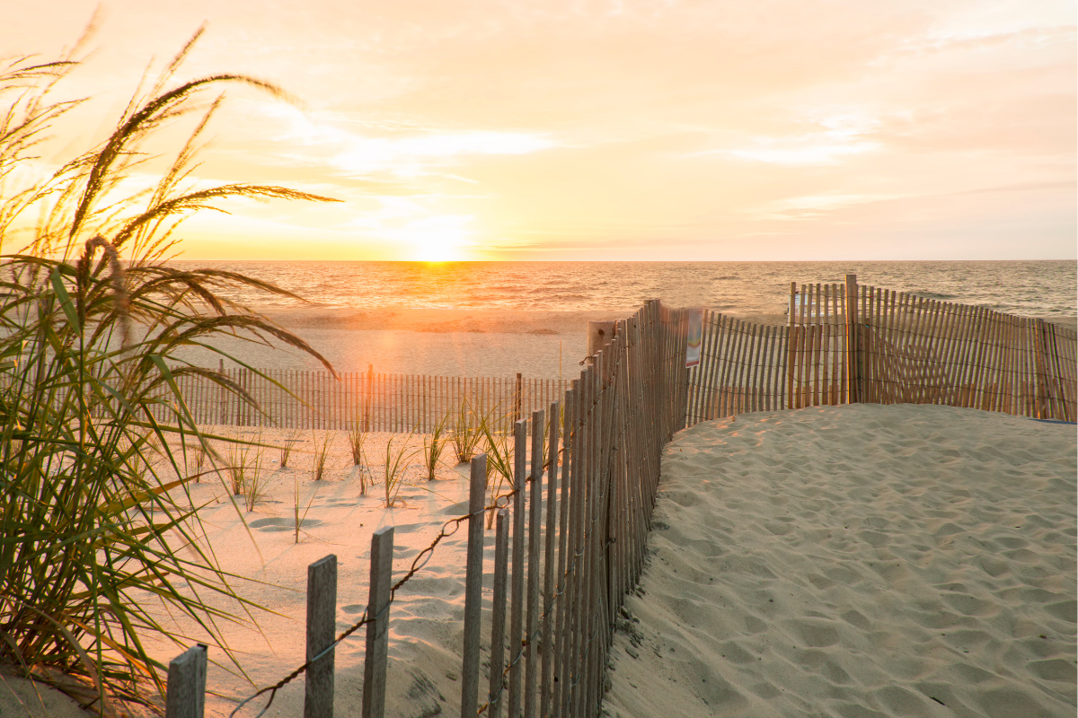 Things To Do in Sussex County Delaware Beaches - Week of September 6th ...